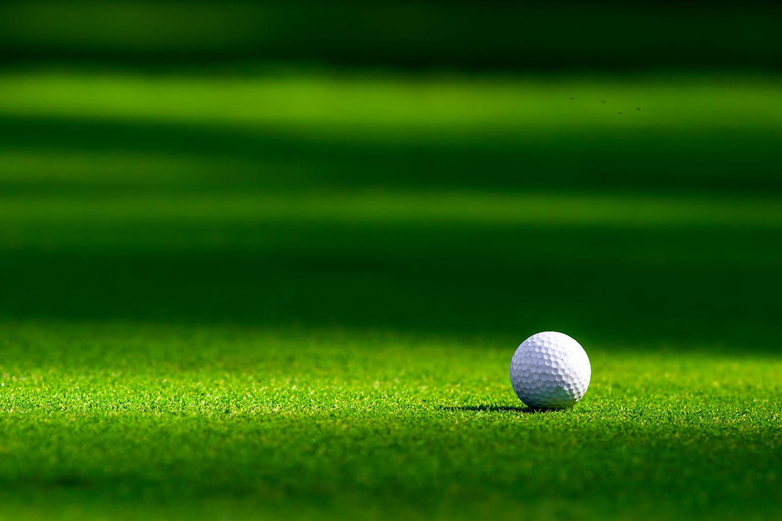 Know Your Turf: Options for Golf Course New Construction and Renovation ...